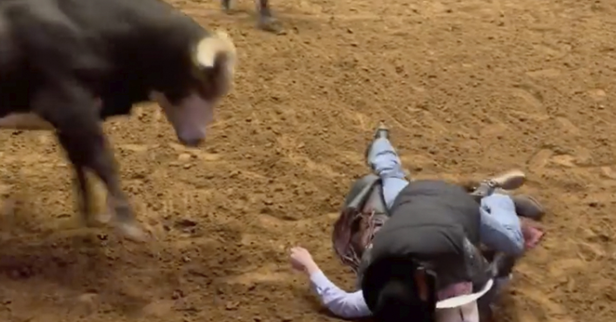 This Dad Is Being Called A Hero For Jumping In To Save His Bull Riding ...