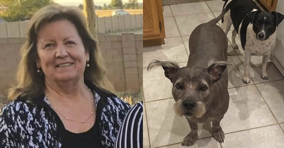 She Disappeared With Her Two Dogs, But While Their Leashes Were ...