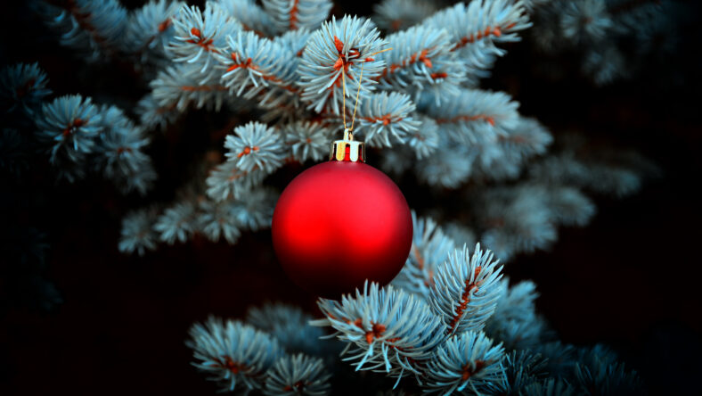 WWI’s Christmas Truce Proves That Even In The Midst Of War, Peace Can ...