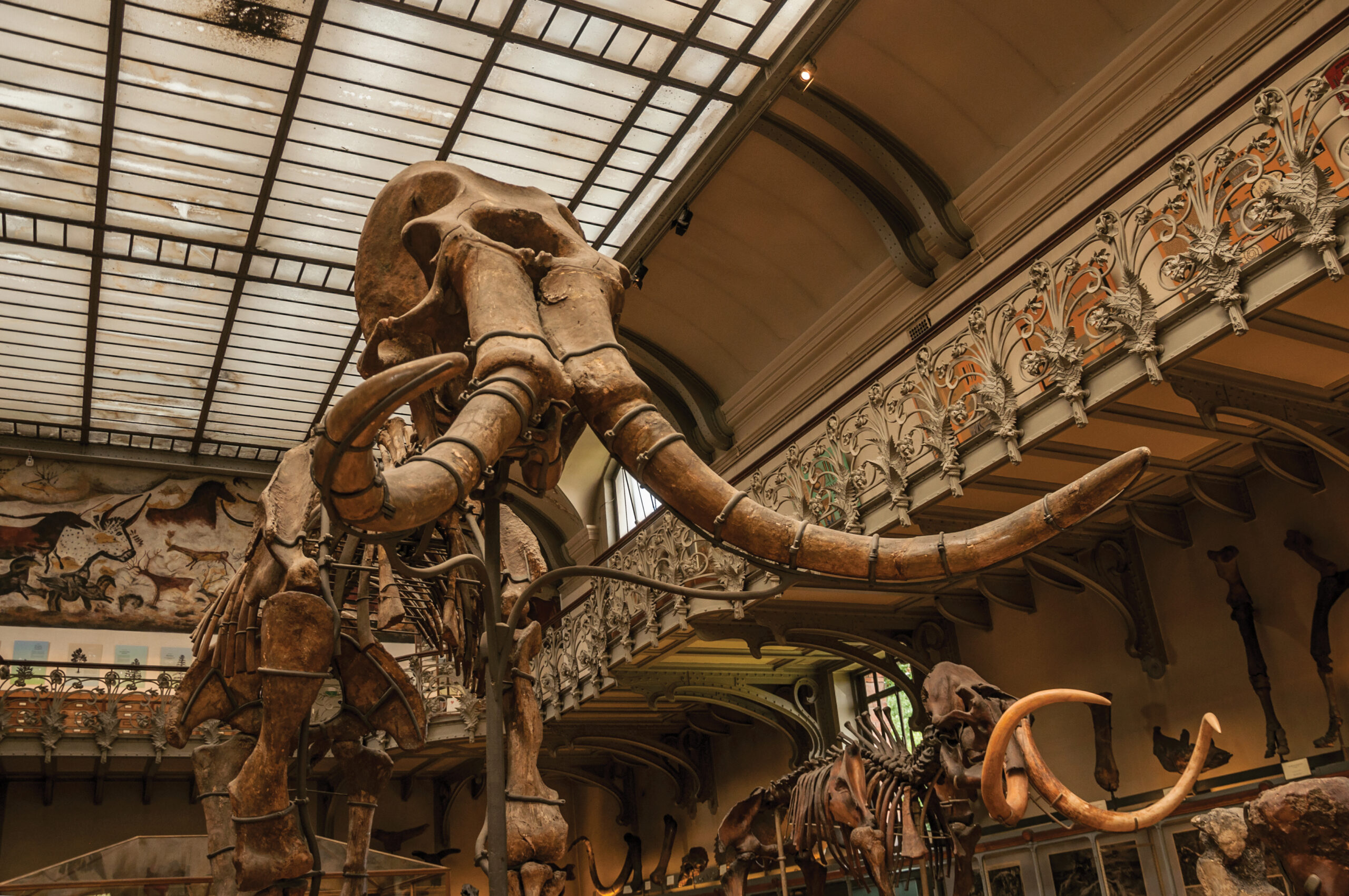 Mammoth Bones Were Unearthed In Austria, And They Indicate That Ancient ...