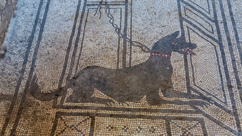 Archeologists Set Out To Answer Questions About The Largest Roman Dog ...