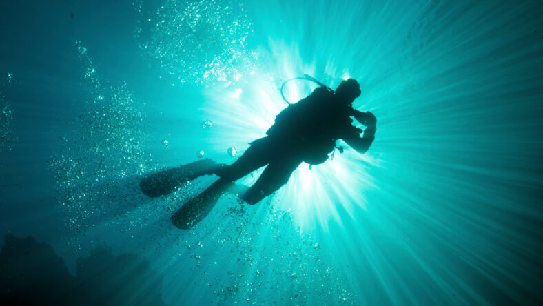 He Set The World Record For Scuba Diving In All Seven Continents In ...