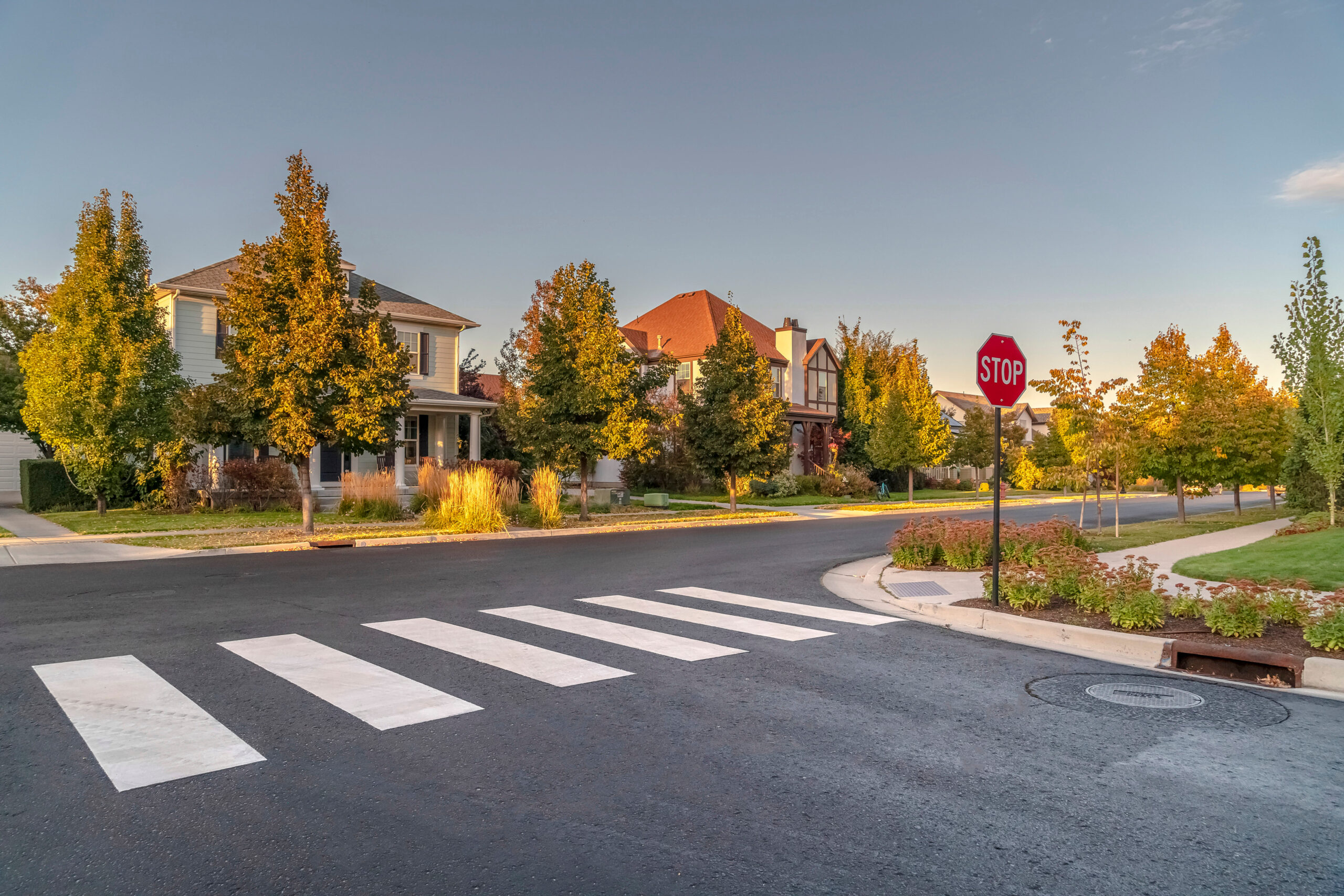 Her City Took Away Her Street And Is Now Trying To Make Her Lease The ...